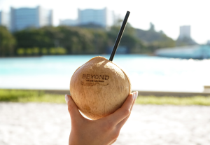 Um Clube Completo - Beyond The Club